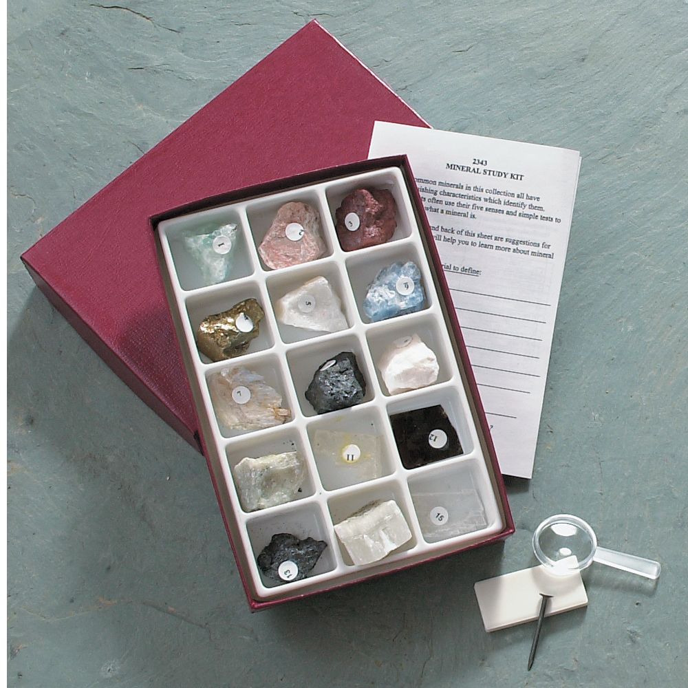 Introduction to Minerals Study Kit | Carolina.com
