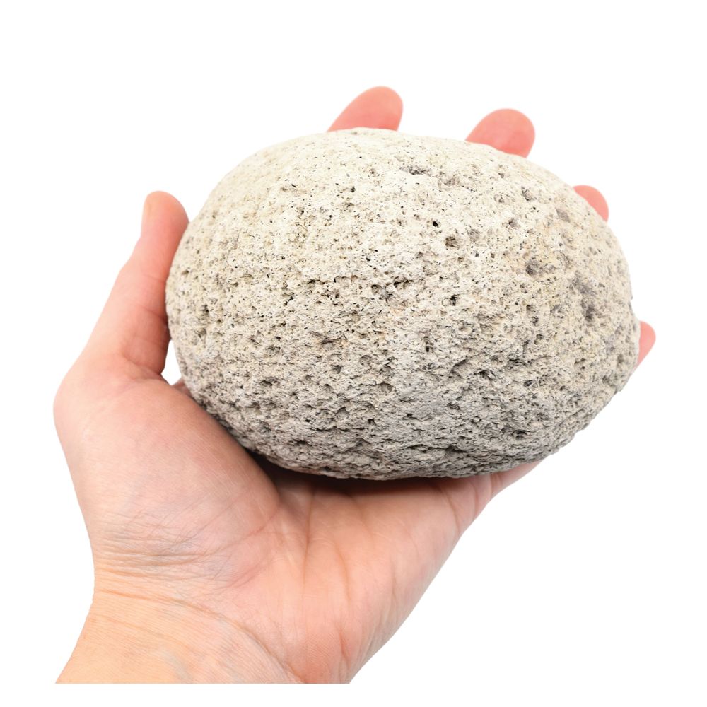 Pumice Specimen, Hand Sample | Carolina Biological Supply