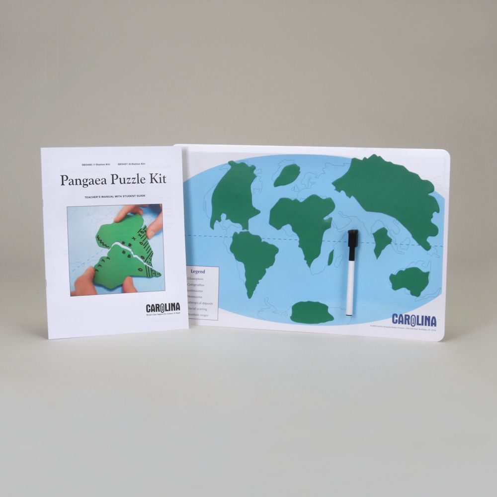 Pangaea Puzzle