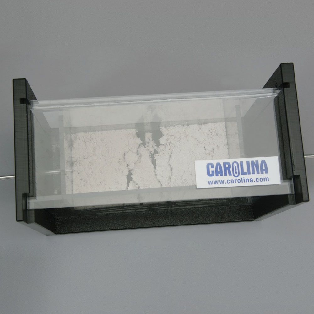 Tectonic Sandbox | Carolina Biological Supply