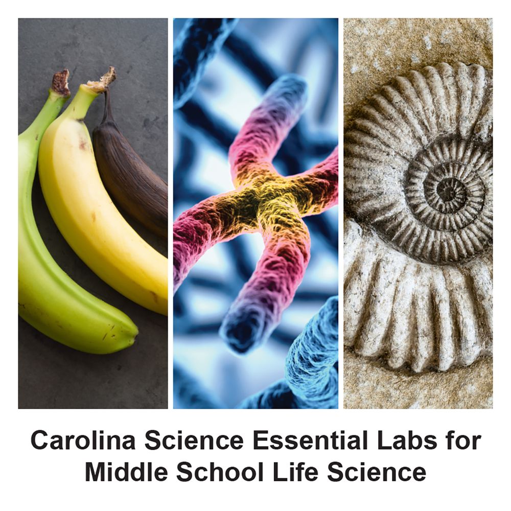 Carolina Science Essential Labs™ for Middle School: Matter and Energy ...