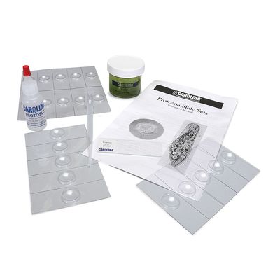 Carolina® Protozoa Slide Set, Euglena, Living | Carolina Biological Supply