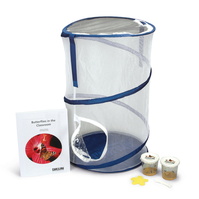 Butterflies in the Classroom Demo Kit (with live caterpillars and food ...