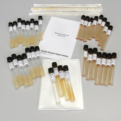 Bacterial Anaerobe Culture Kit (with voucher) | Carolina.com
