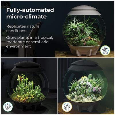 biOrb® AIR 30 Terrarium | Carolina Biological Supply