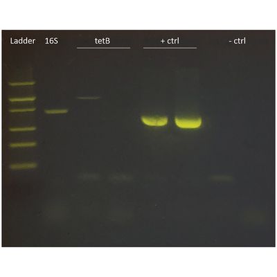 eDNA: Sampling Soil for Antibiotic Resistance Kit (with consumables ...