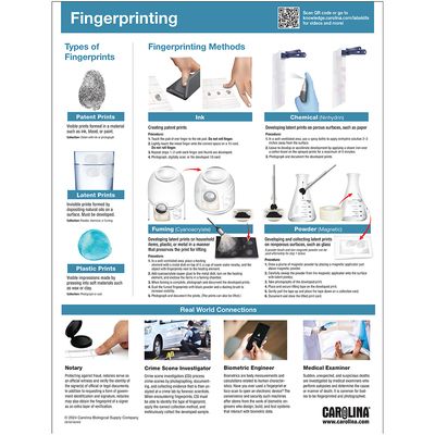 Carolina® Fingerprinting Bundle | Carolina Biological Supply
