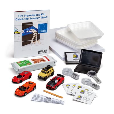 Tire Impressions Kit: Catch the Jewelry Thief! | Carolina Biological Supply