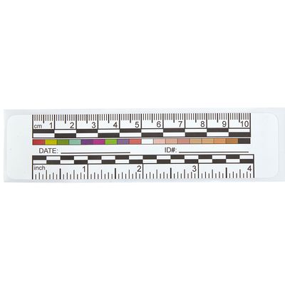 Adhesive Photo Evidence Scales, Roll of 50 | Carolina Biological Supply