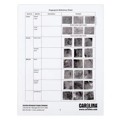 Fingerprinting Student Kit | Carolina Biological Supply