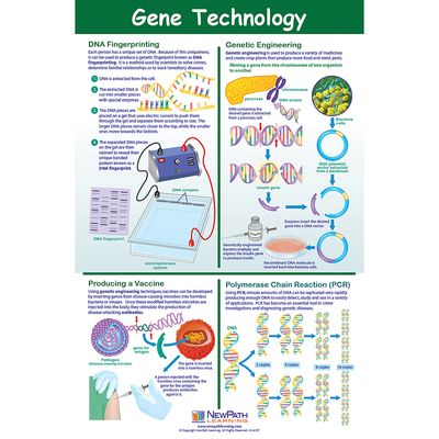 Biotechnology Poster | Carolina Biological Supply