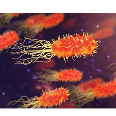 Food Safety Lab: Mars Colony at Risk! Kit | Carolina Biological Supply