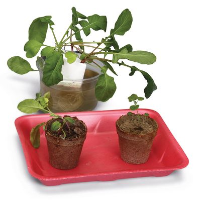 Inquiries in Science®: Determining Agricultural Resources Kit ...