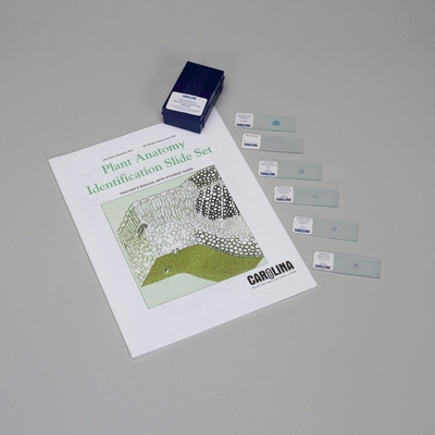 Plant Anatomy Identification Student Microscope Slide Set | Carolina ...