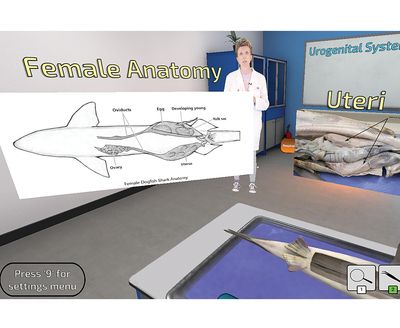 Digital Dissection: Dogfish Shark, Individual License | Carolina ...