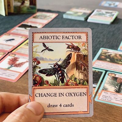 Ecologies Card Game | Carolina Biological Supply