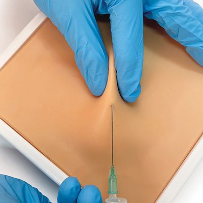 Small Animal Subcutaneous Puncture Trainer | Carolina Biological Supply