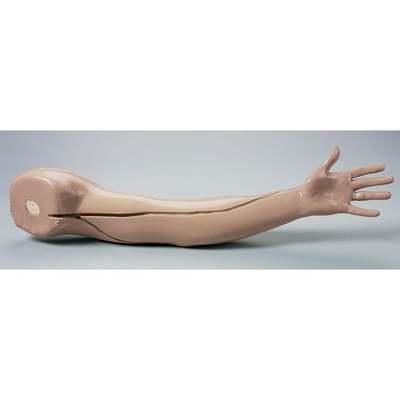 Life/form® Adult Venipuncture and Injection Training Arm, Light ...
