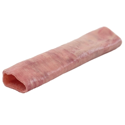 Basic Suturing Kit with Synthetic Human Tissue | Carolina Biological Supply