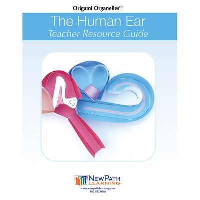 Origami Organelles™ 3-D Paper Model Kit: Human Ear | Carolina ...