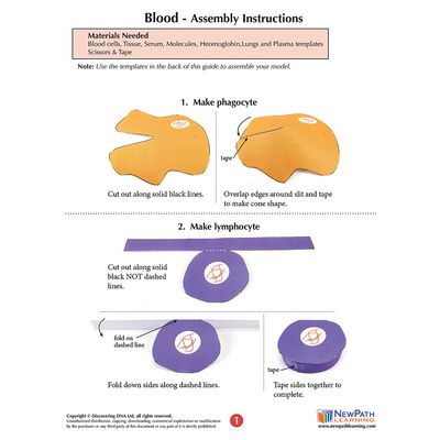 Origami Organelles™ 3-D Paper Model Kit: Blood | Carolina Biological Supply