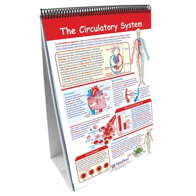 Curriculum Mastery Human Body Flip Chart | Carolina Biological Supply