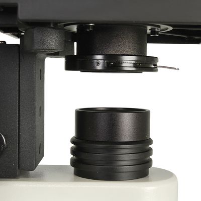 Wolfe® LED Educational Microscope with Mechanical Stage | Carolina ...