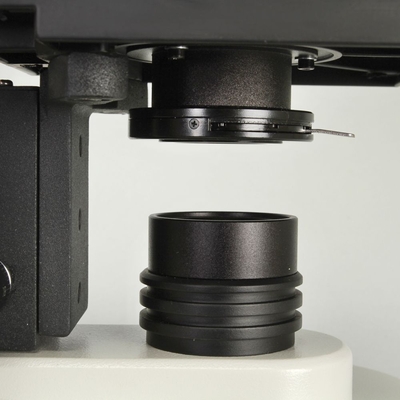 Wolfe® LED Cordless Educational Microscope | Carolina Biological Supply