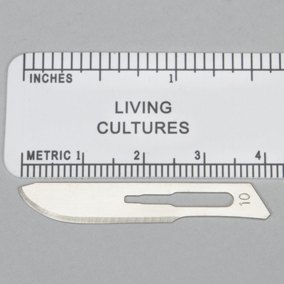 Scalpel Blades, Economy, No. 10, Fits Handle No. 3 | Carolina ...