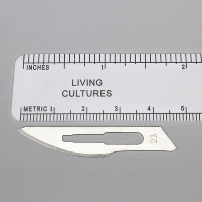 Scalpel Blades, Economy, No. 23, Fits Handle No. 4 | Carolina ...