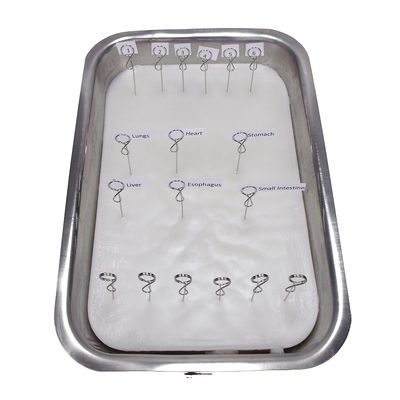 Dissection Pins with Label Holder, Box of 50 | Carolina Biological Supply