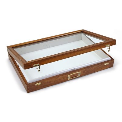 Insect Display Case | Carolina Biological Supply
