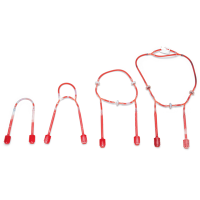 Carolina STEM Challenge®: Circulatory System 1-Station Kit | Carolina ...