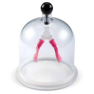 Lung Function Model | Carolina Biological Supply