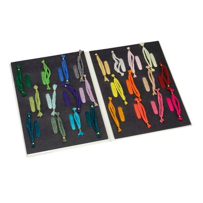 Carolina® Visual Perception Kit | Carolina Biological Supply