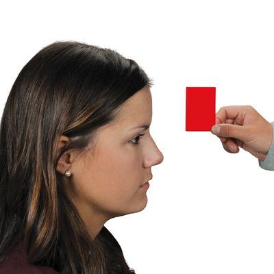 Carolina® Visual Perception Kit | Carolina Biological Supply