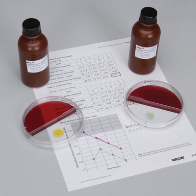 Blood Alcohol Determination Kit | Carolina Biological Supply
