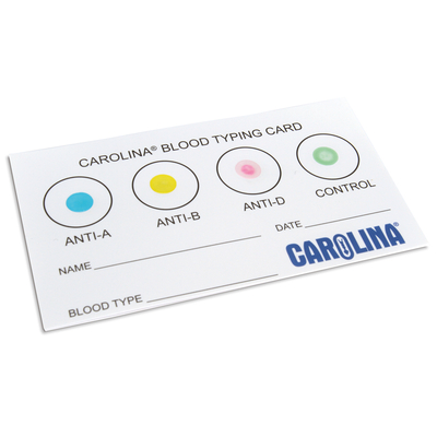 Carolina® Blood Typing Card, Student Pack, 1 Card | Carolina Biological ...