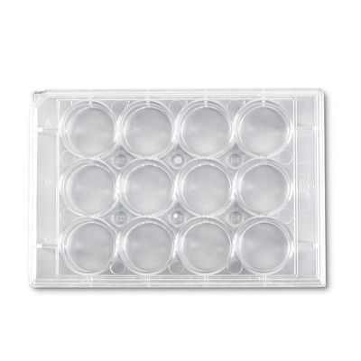 12-Well Cell Culture Plate | Carolina Biological Supply