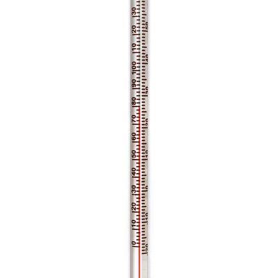 Red Spirit-Filled Partial Immersion 12" Thermometer (-20 to 110 C; 0 to ...