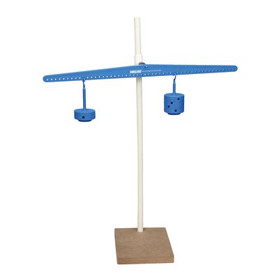 Carolina Introduction to Simple Machines Kit | Carolina Biological Supply
