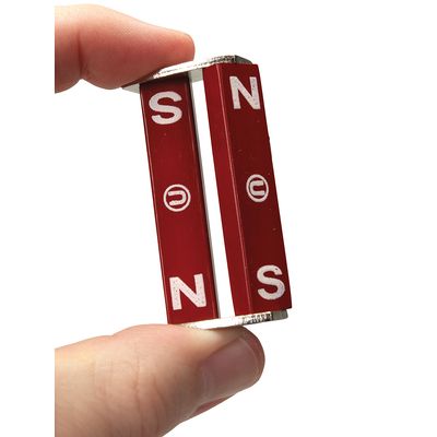 Economy Alnico Bar Magnets | Carolina.com