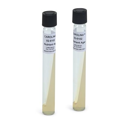 Nutrient Agar Slant, Prepared Media Tubes, Pack of 10 | Carolina ...