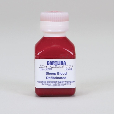 Sheep Blood, Defibrinated, Pooled, 50 mL | Carolina Biological Supply