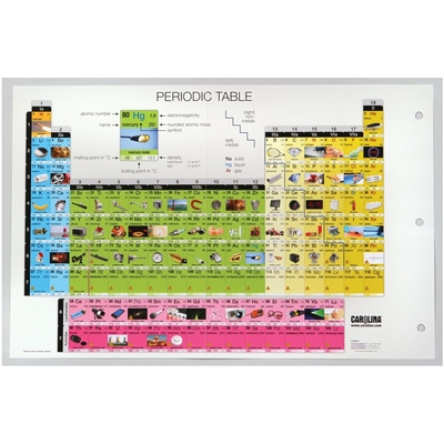Carolina® Student Infographic Periodic Table | Carolina Biological Supply