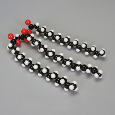 Molymod® Fat Model Kit | Carolina Biological Supply