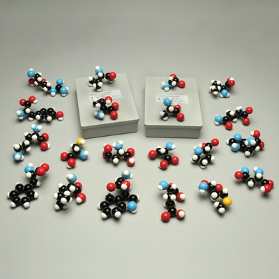 Molymod® 20-Amino Acid Set | Carolina Biological Supply