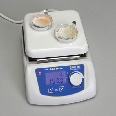 Energy Transformations with Irradiated Salt Kit | Carolina Biological ...