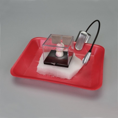 Observing Ionizing Radiation Using a Cloud Chamber Kit | Carolina ...