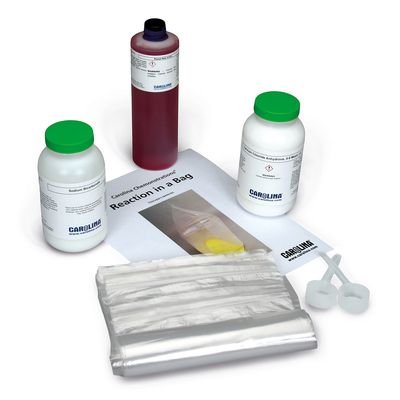 Carolina Chemonstrations®: Reaction in a Bag Kit | Carolina Biological ...